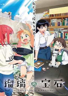 瑠璃の宝石