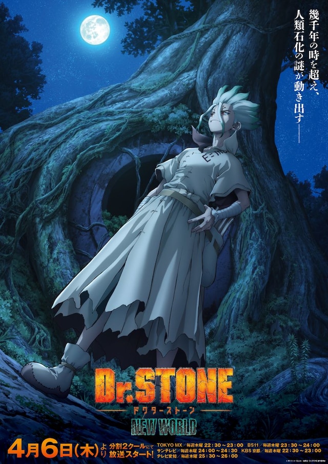 Dr.STONE NEW WORLD | 声優・キャラクター・あらすじ・配信・アニメ - コミックナタリー