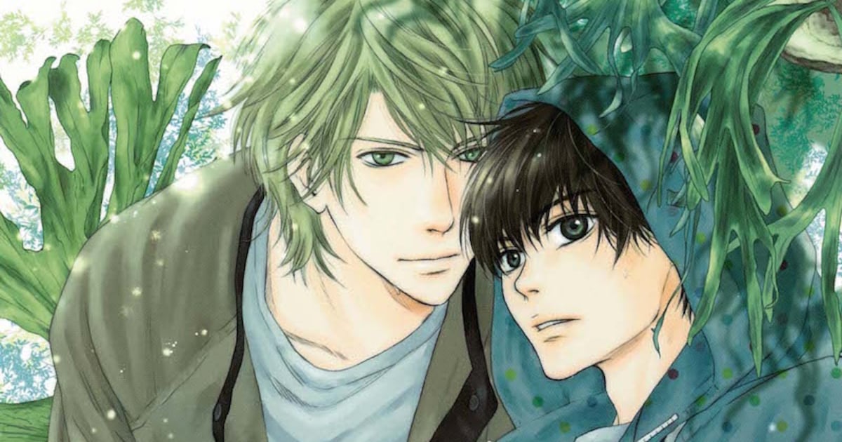 あべ美幸が描くBL「SUPER LOVERS」TVアニメ化、スタッフも発表 - コミックナタリー