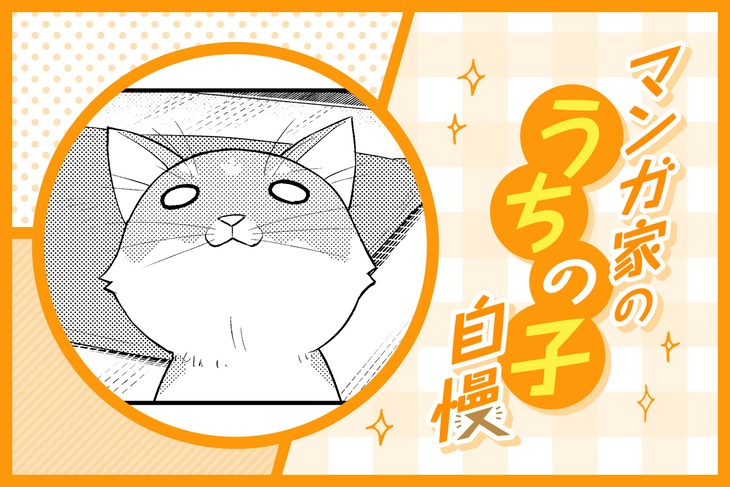 畑健二郎の うちの子”自慢 マンガ家のうちの子自慢 第12回 コミックナタリー コラム
