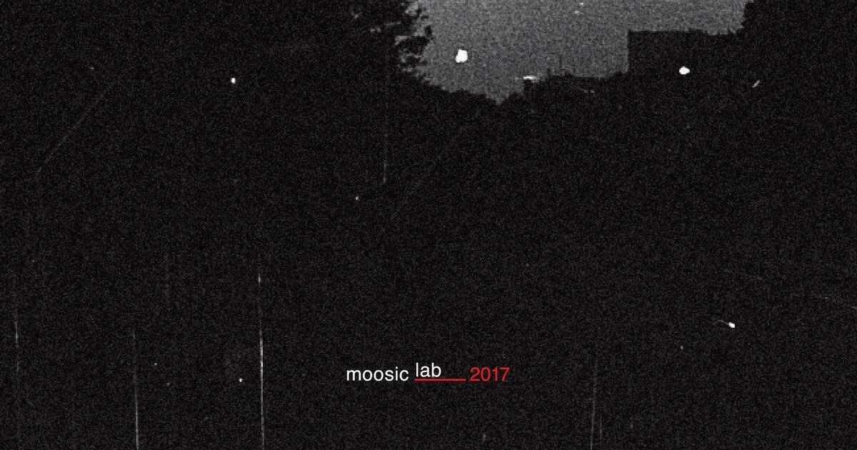 MOOSIC LAB 2017ショートフィルム部門にかとうみさとや川村清人らの作品並ぶ - 映画ナタリー