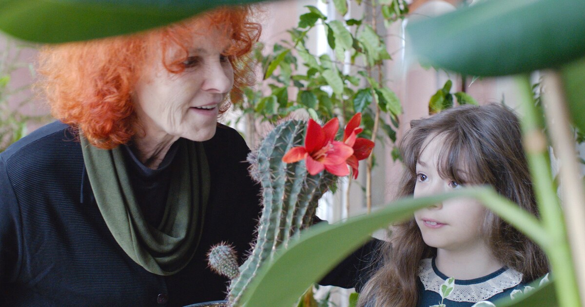 それでも過去は財産よ、ジョージア・フランス合作「金の糸」予告公開（新写真10枚） - 映画ナタリー