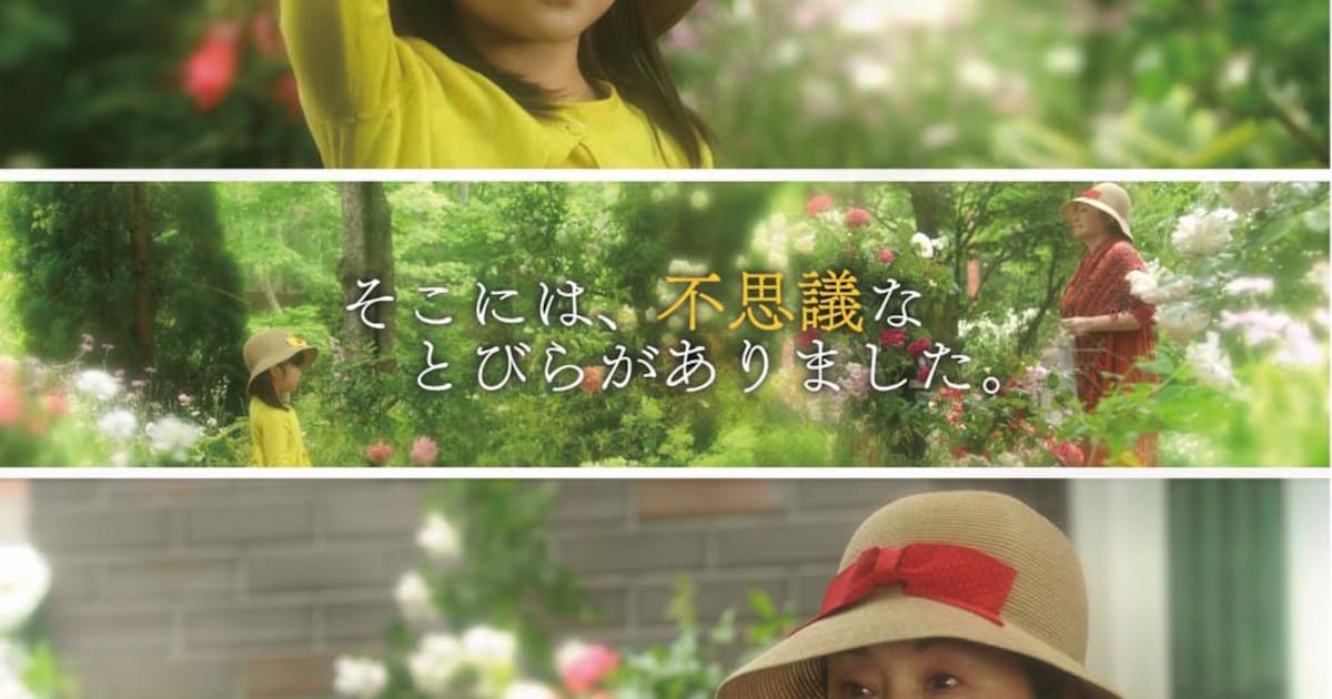 加藤柚凪と松坂慶子の共演作「あの庭の扉をあけたとき」ビジュアル、主題歌はGOW - 映画ナタリー
