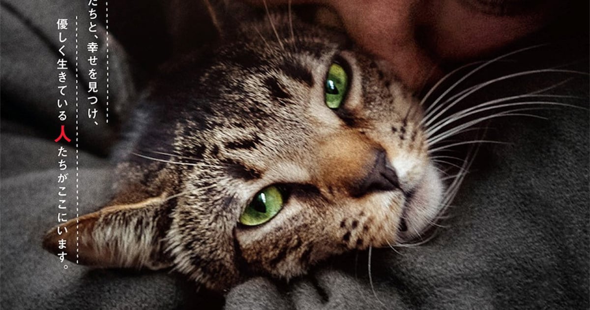 猫を愛する9人の男を追ったドキュメンタリー「猫と、とうさん」公開（動画あり） - 映画ナタリー