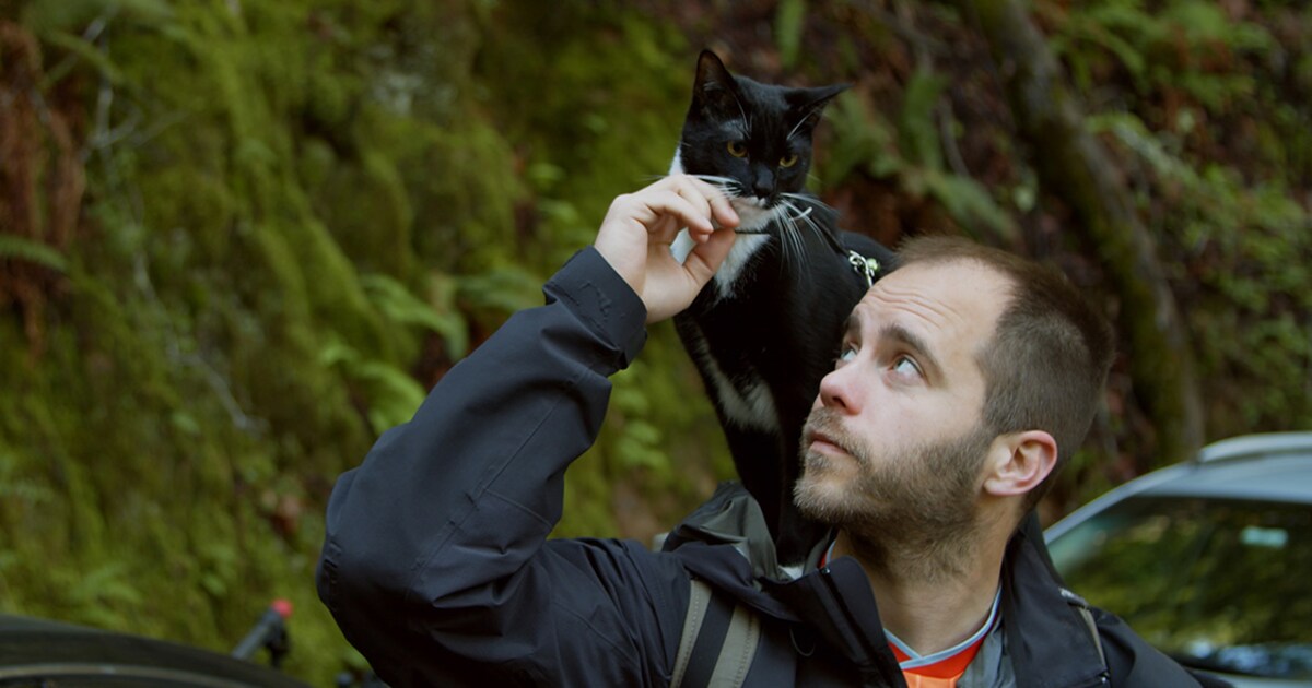 男性だって弱さを見せていい、記録映画「猫と、とうさん」の新写真＆監督コメント到着 - 映画ナタリー