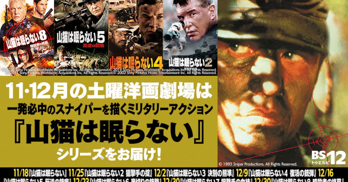 「山猫は眠らない」シリーズ8本がBS12で放送、秋元才加が暗殺者役で出演した作品もOA（写真25枚） - 映画ナタリー