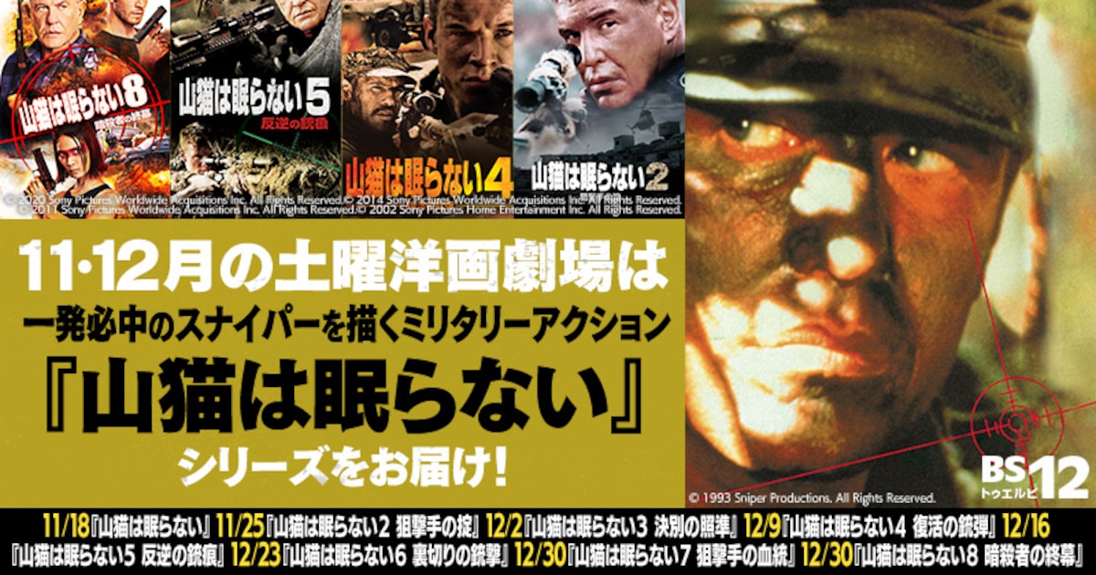 「山猫は眠らない」シリーズ8本がBS12で放送、秋元才加が暗殺者役で出演した作品もOA（写真25枚） - 映画ナタリー
