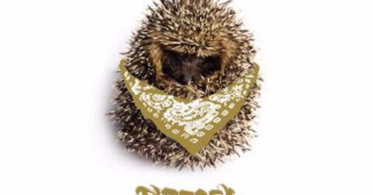 SEEDA最新アルバムにはネットで話題のあの曲も収録 - 音楽ナタリー