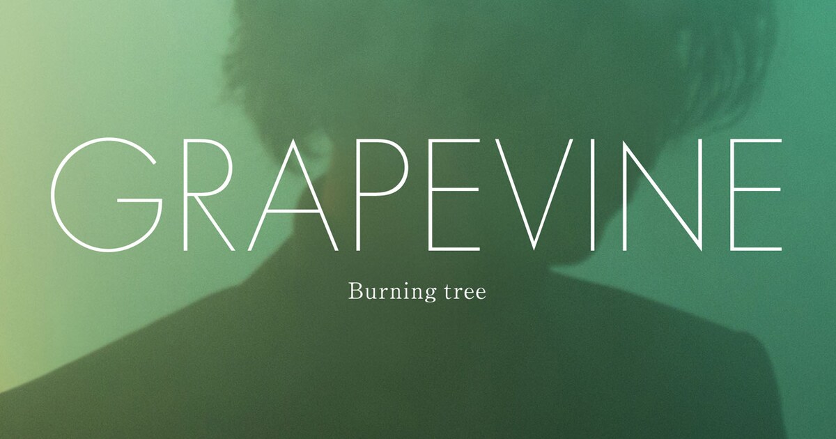 GRAPEVINE、新アルバム＆「Lifetime」再現ライブDVD/BD同時発売 - 音楽ナタリー