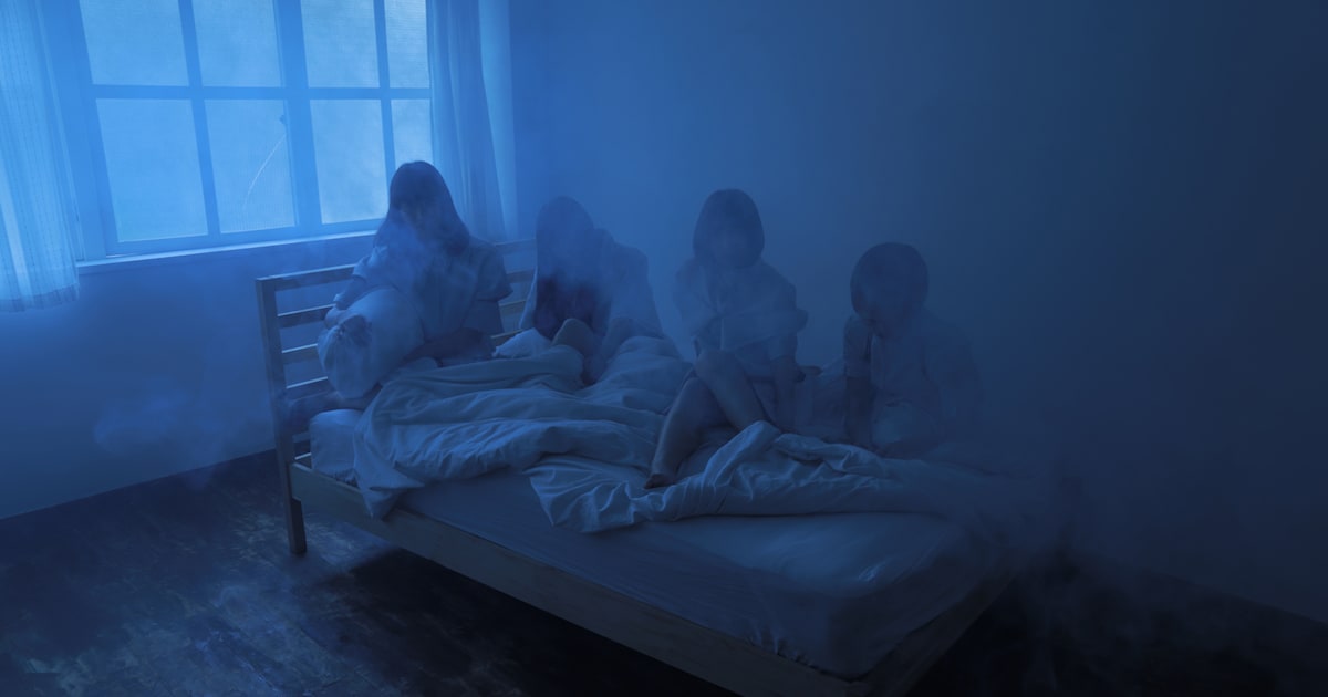 Maison book girl、新曲CD同梱でワンマン映像化＆新アルバム発売日決定 - 音楽ナタリー