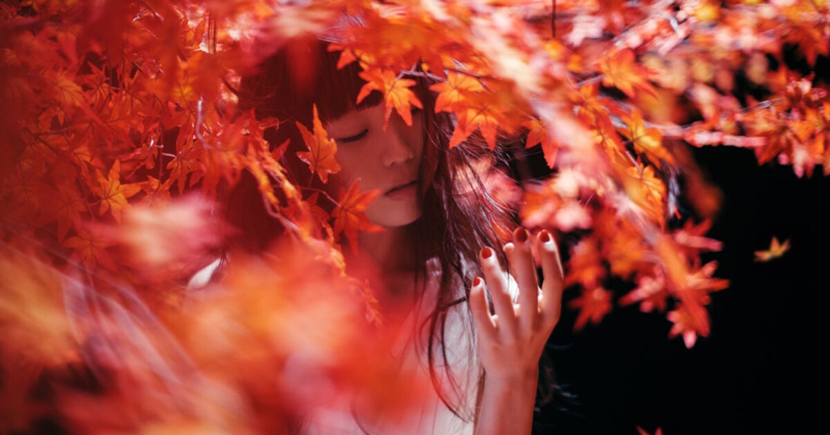 Aimer、瀧川ありさ、GARNiDELiAらが香港＆シンガポールでアニソンライブ - 音楽ナタリー