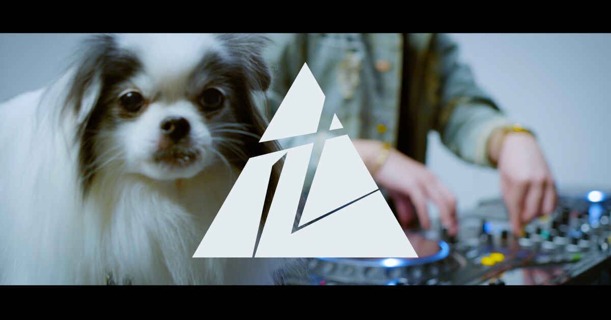 TeddyLoidアルバム全曲配信開始、新作MVにパロアルトとSALUと犬（動画あり） - 音楽ナタリー