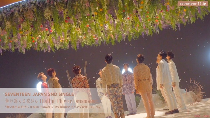 SEVENTEEN「舞い落ちる花びら（Fallin' Flower）」MVメイキングを一部公開（動画あり） - 音楽ナタリー