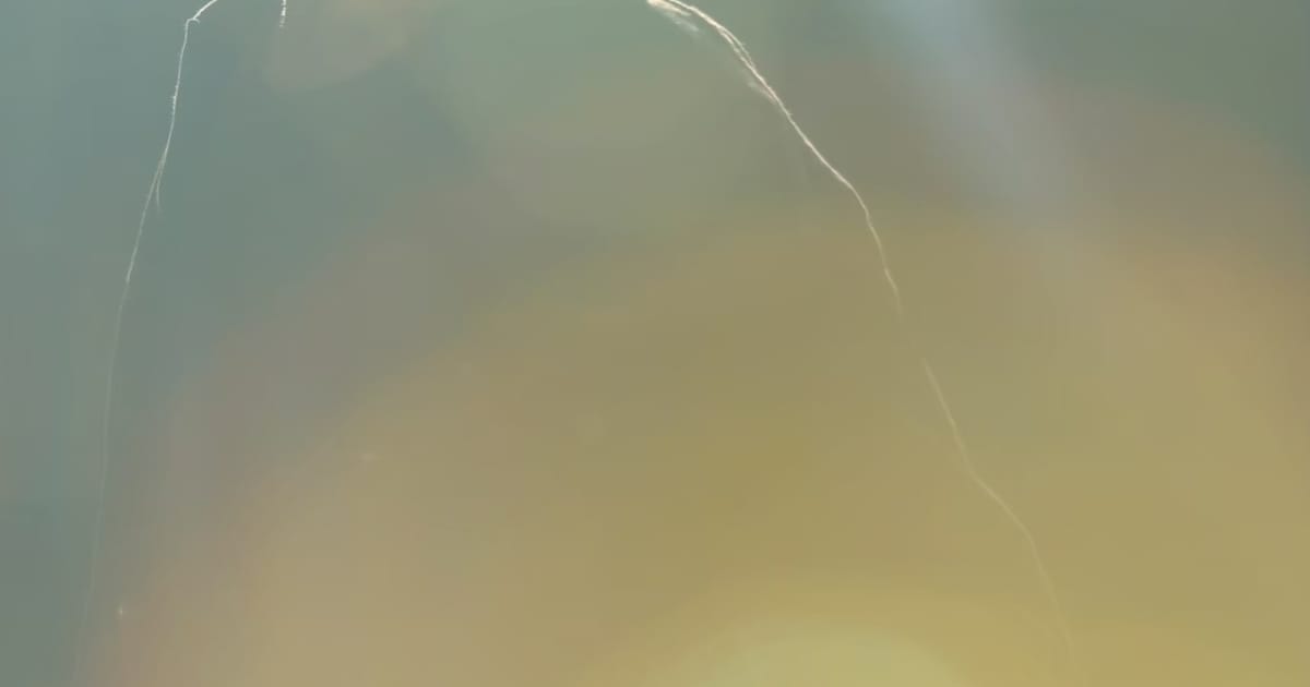 DATSのMONJOEがソロデビュー、イスラエルのバンドGarden City Movementとのコラボ曲発売 - 音楽ナタリー