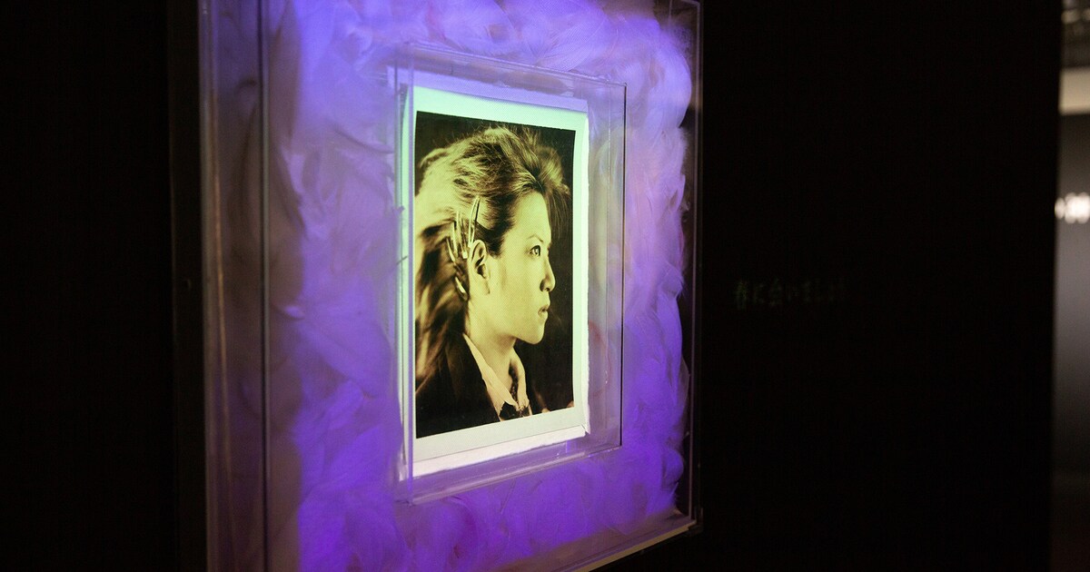 hideの愛用ギターや衣装など実物が並ぶ「hide MUSEUM」展示風景を公開（動画あり） - 音楽ナタリー