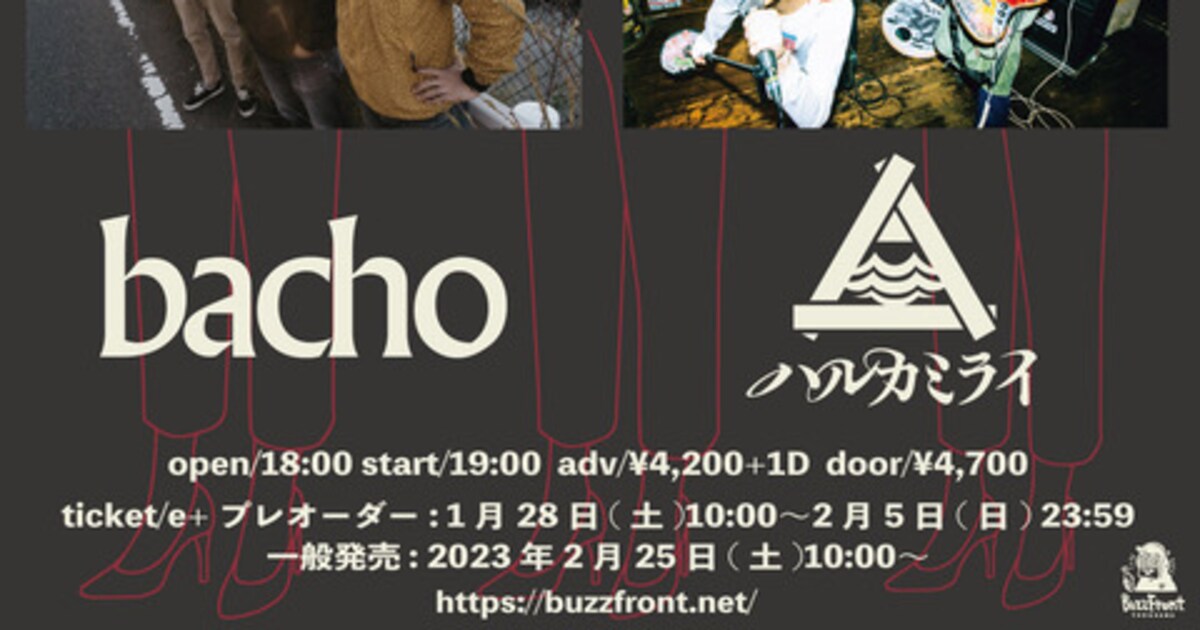 bacho×ハルカミライ、横浜BuzzFrontでツーマンライブ - 音楽ナタリー