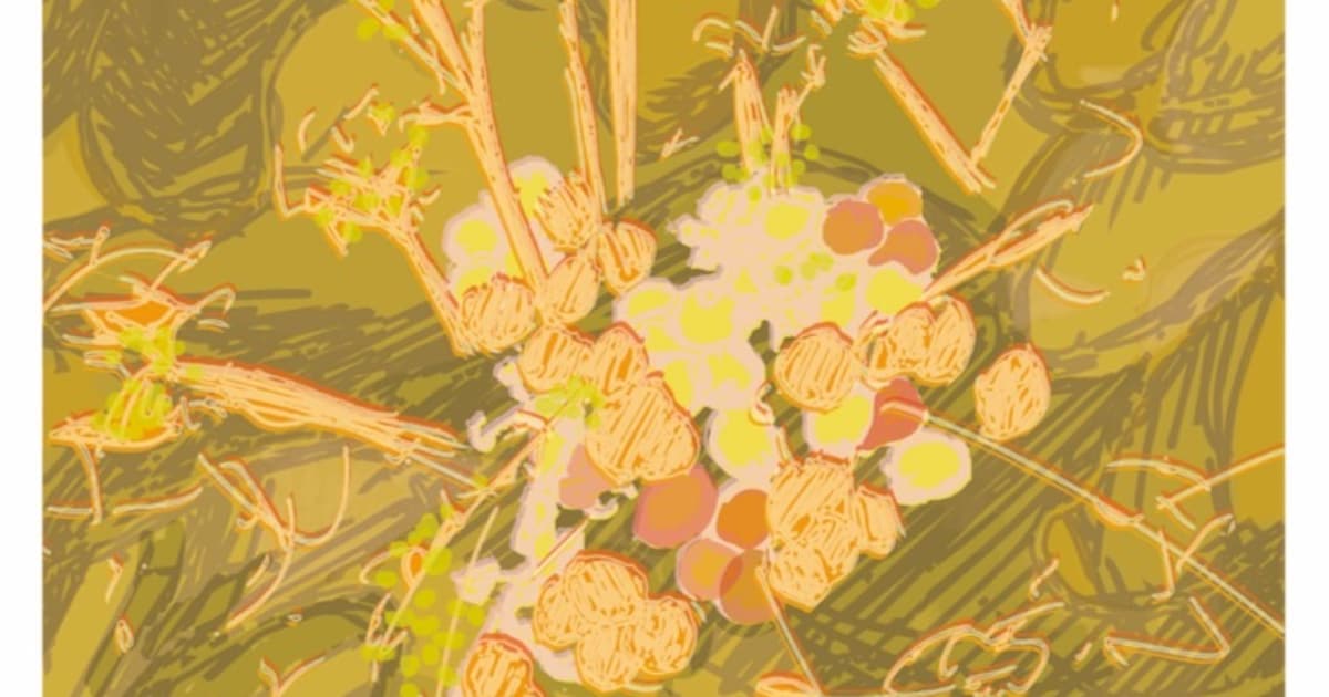 SPRINGMAN、全編トイレで新曲MV撮影（動画あり） - 音楽ナタリー