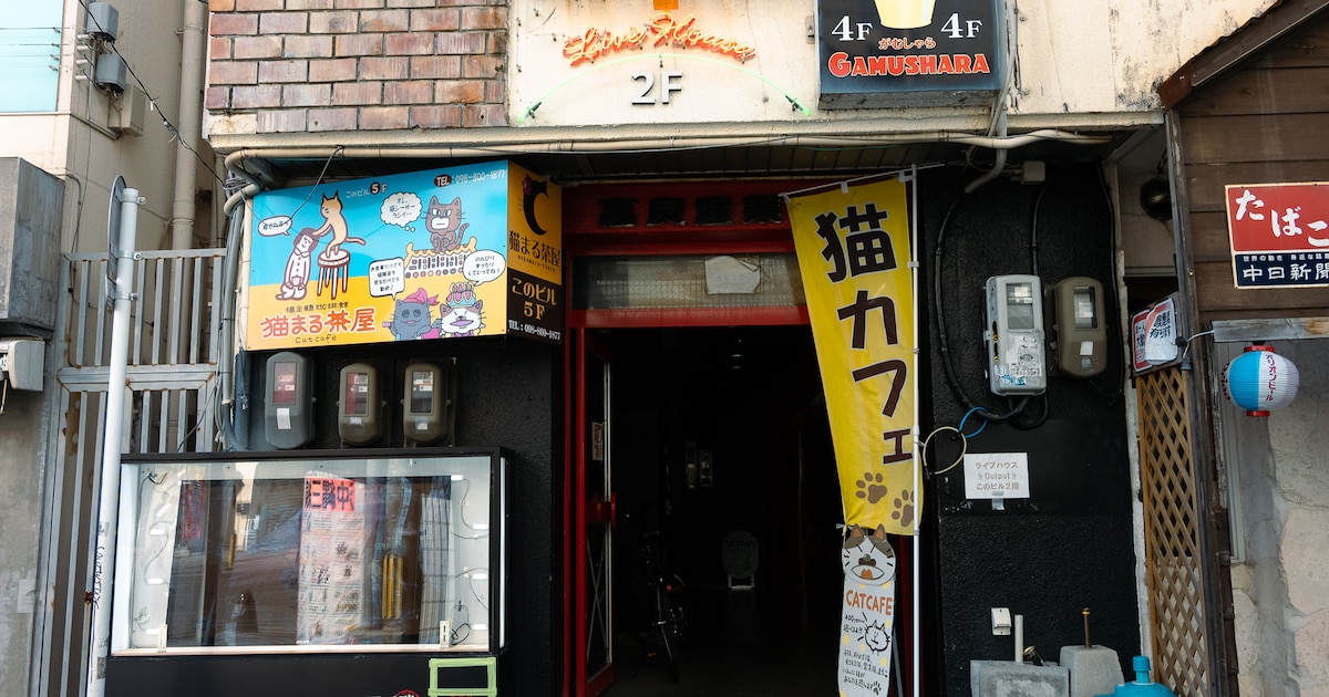【連載】店長たちに聞くライブハウスの魅力 - 音楽ナタリー