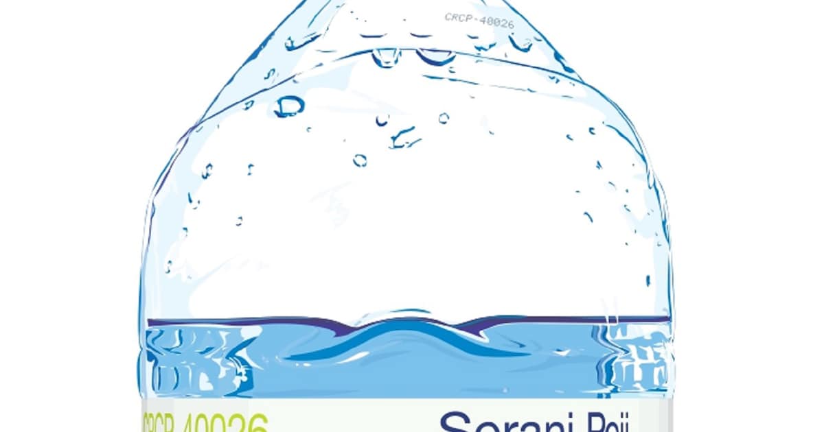 ゲーム音楽から派生したユニットSerani Poji、福富幸宏プロデュースの2ndアルバム配信（コメントあり / 動画あり） - 音楽ナタリー