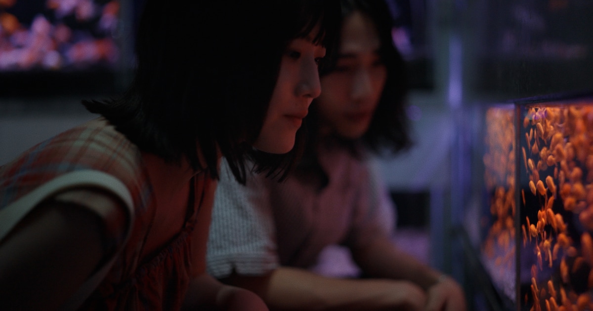 Mega Shinnosuke、“この世には存在しない映画”をテーマにしたMV公開（動画あり / コメントあり） - 音楽ナタリー