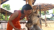 バッテリィズ・エースが世界遺産を訪れる旅へ、M-1では存在を疑っていたが…