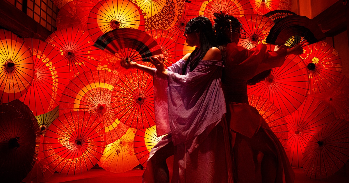 KYOTO NIPPON FESTIVAL 2026 イマーシブシアター「花宵の大茶会」より。 [画像ギャラリー 6/23] - ステージナタリー