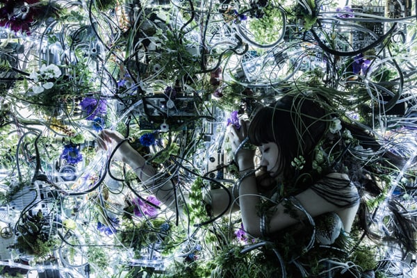 Aimer with chelly（EGOIST）「ninelie」インタビュー - 音楽ナタリー 特集・インタビュー